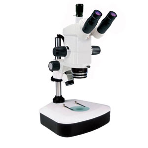 Trinocular, Stereo Zoom Microscope & Dual Illuminated Track Stand - GP ...